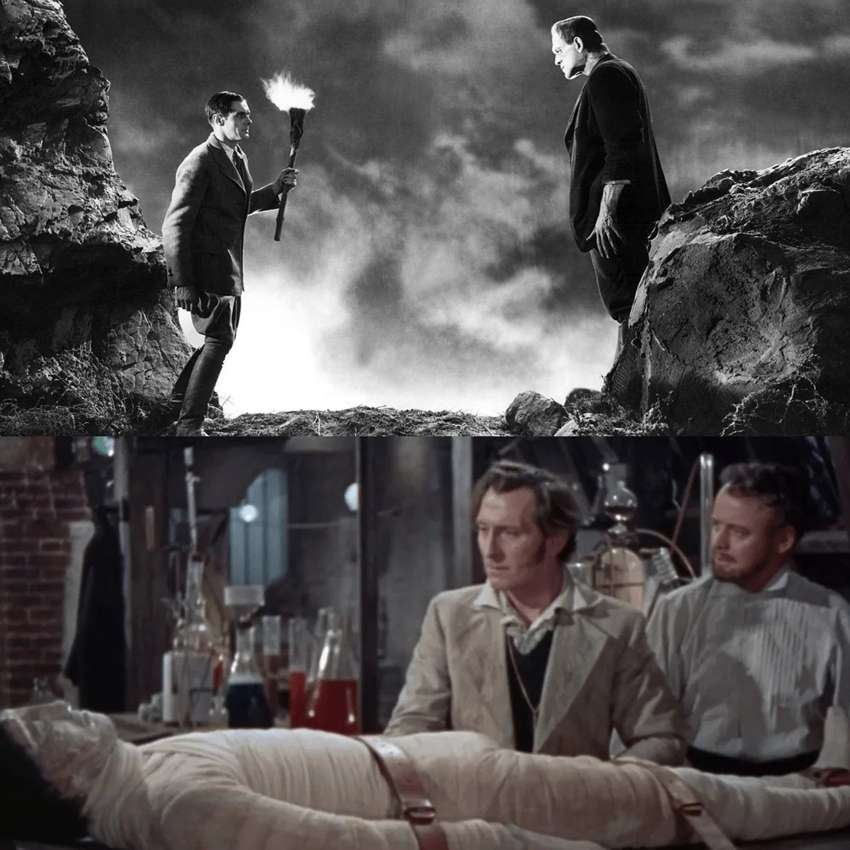 The Reign of Classism: Social Bias in Frankenstein – Channel 31